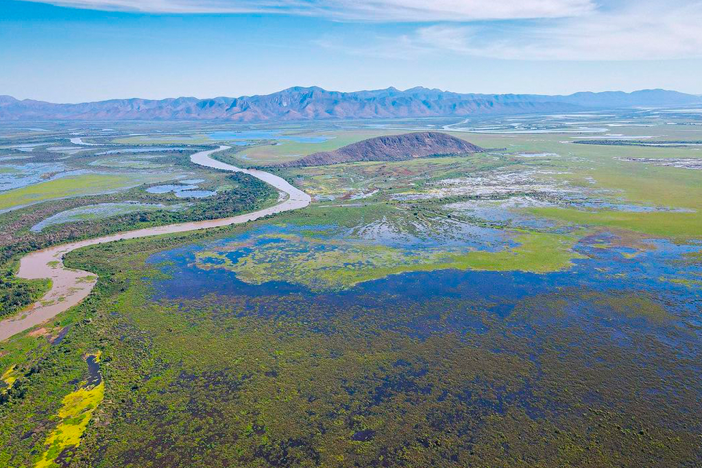 10 fatos que você precisa saber sobre o Pantanal